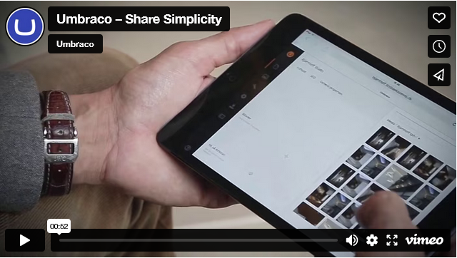 Umbraco the dream CMS flexibility speed and customization